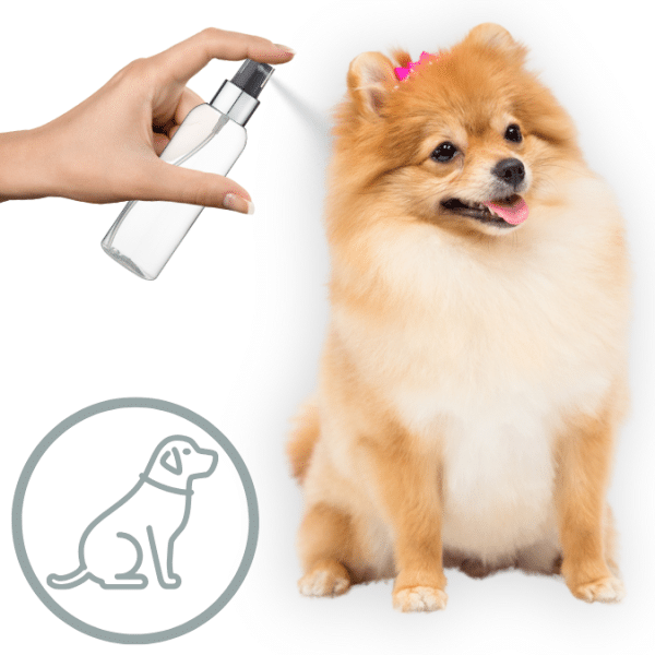 DOG PERFUME – Options Ltd